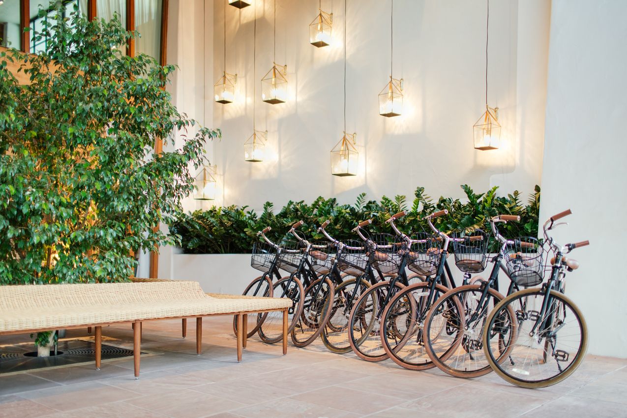 The Scott Resort & Spa | Official Site - Book Direct & Save