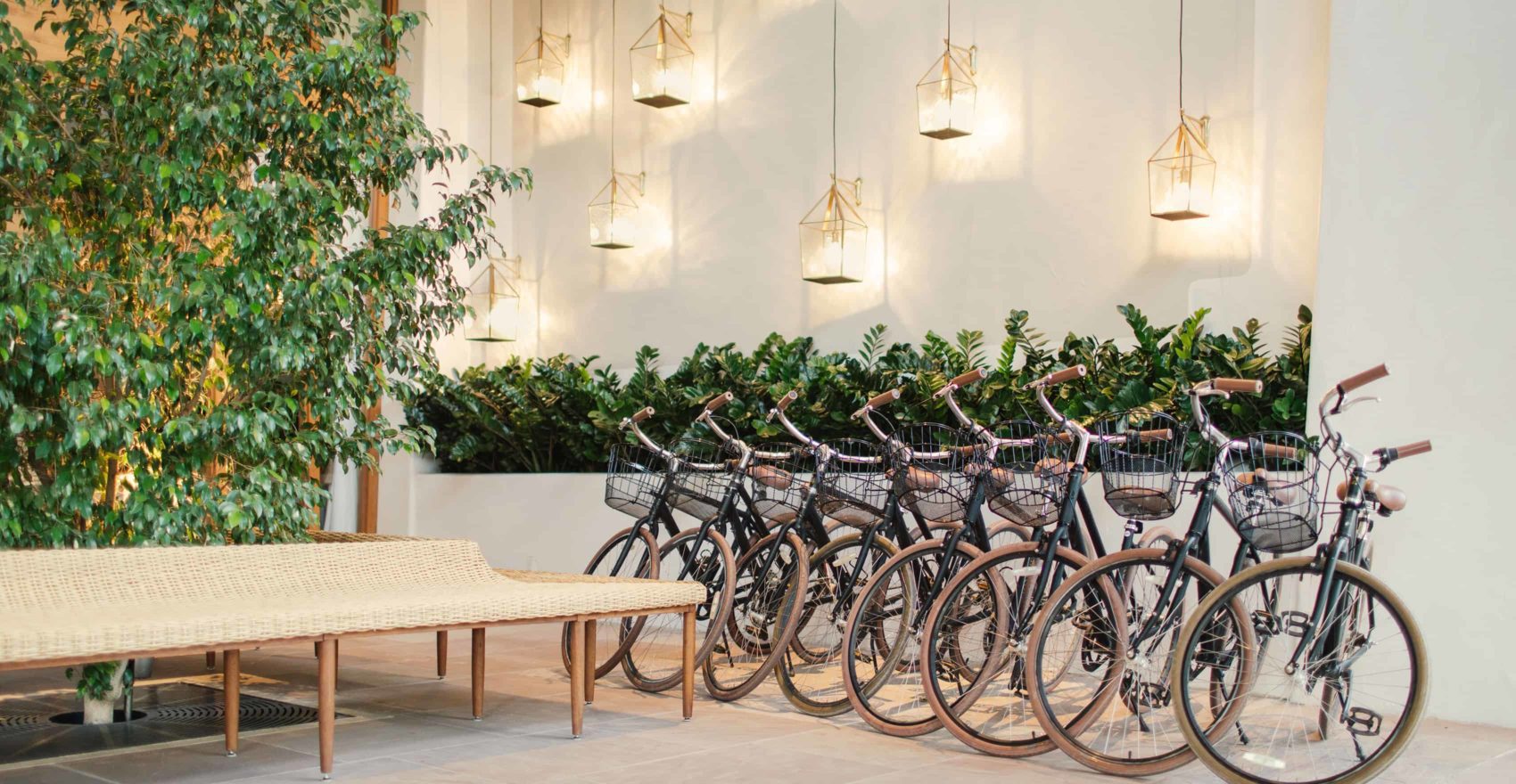 Explore Our Photo Gallery | The Scott Resort & Spa