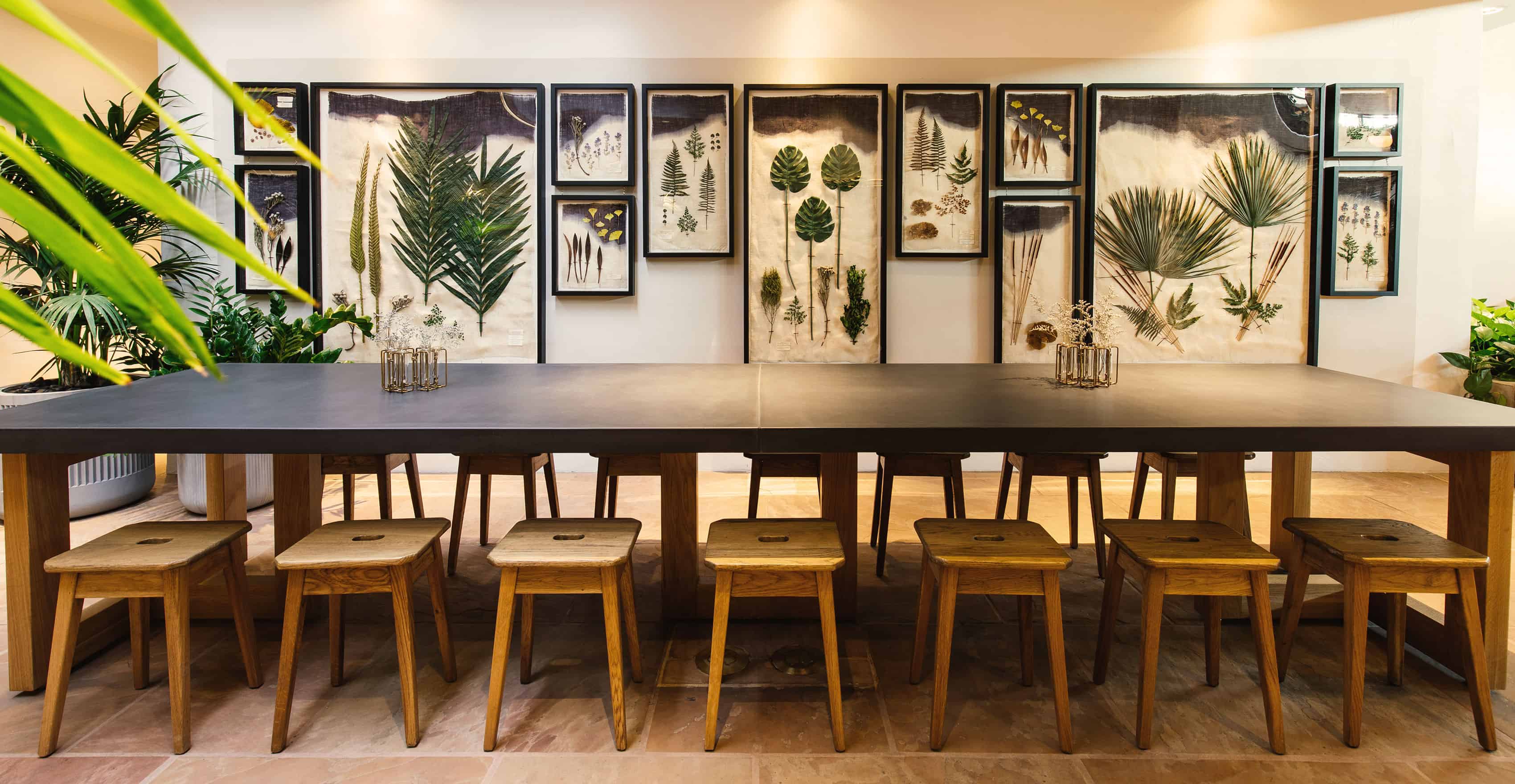 Explore Our Photo Gallery | The Scott Resort & Spa