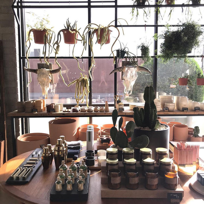 Things To Do In Scottsdale | The Scott Resort & Spa