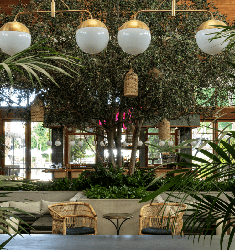 Explore Our Photo Gallery | The Scott Resort & Spa